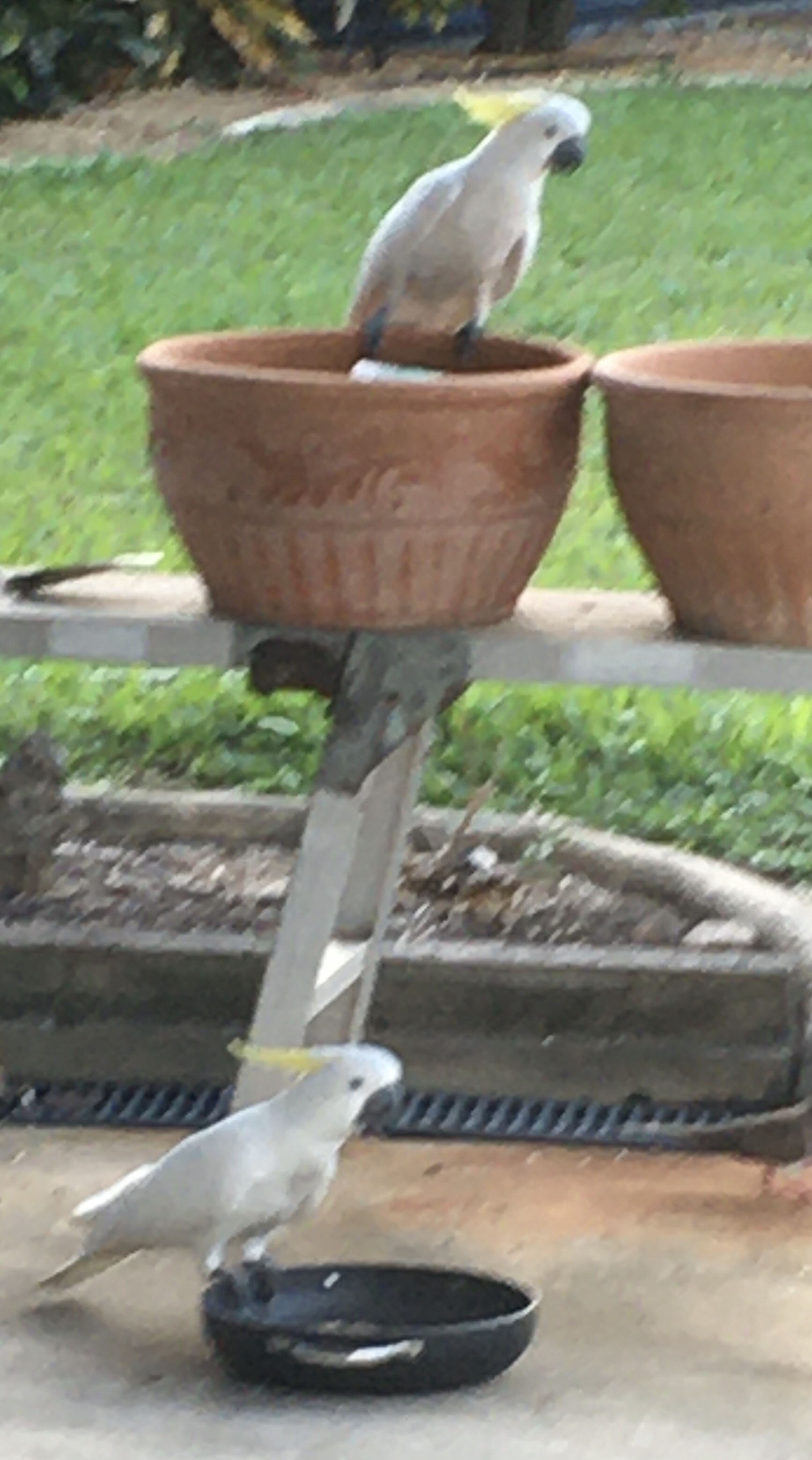 UPPER AND LOWER LEVEL FEEDING OPTIONS | EDUCATION, A LIFE FORCE