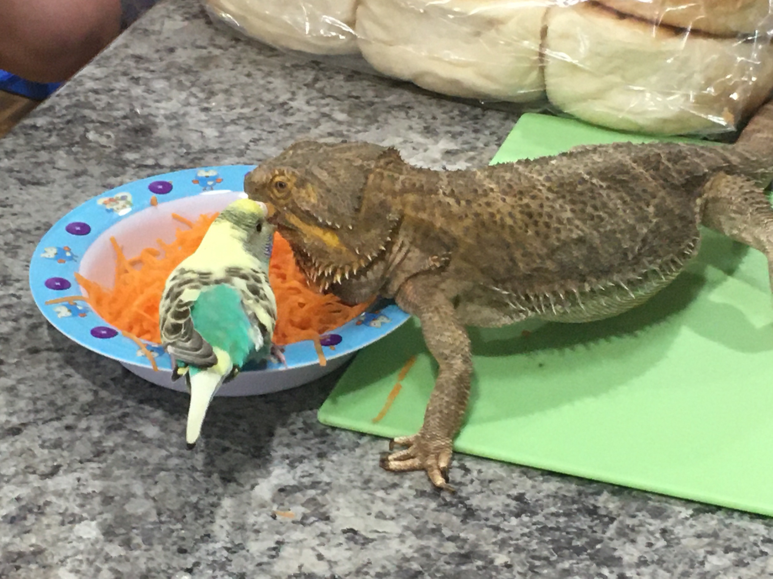 Kqueen and Timothy Bird share lunch | EDUCATION, A LIFE FORCE