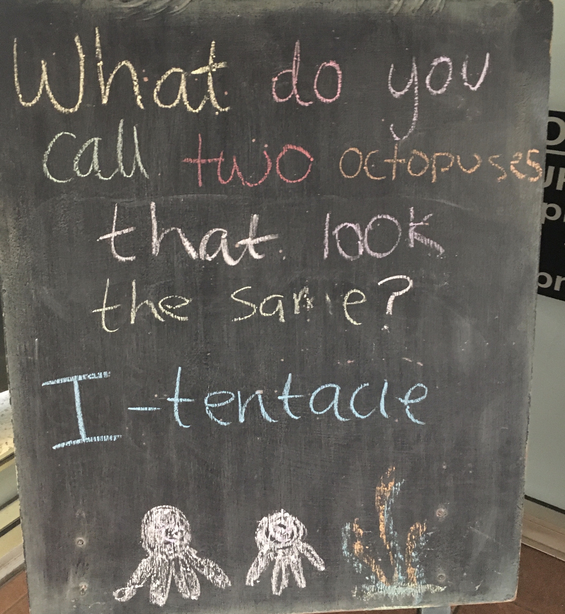 The last one from the Leanyer News Agent’s joke board | EDUCATION, A ...