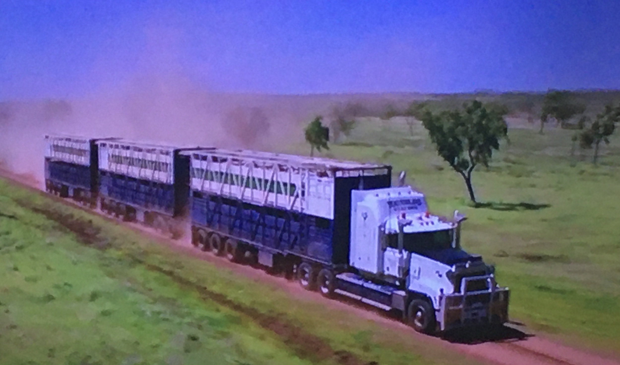 Stock movers are vital outback truckers | EDUCATION, A LIFE FORCE