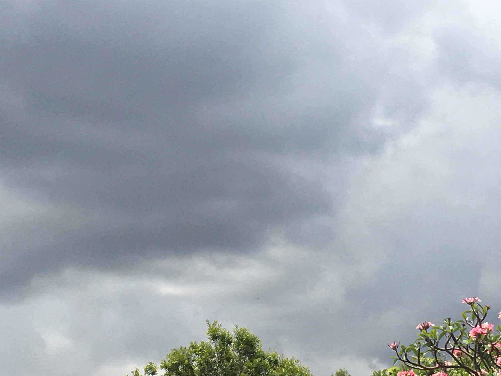 Will it … could it … come to rain – in SEPTEMBER | EDUCATION, A LIFE FORCE